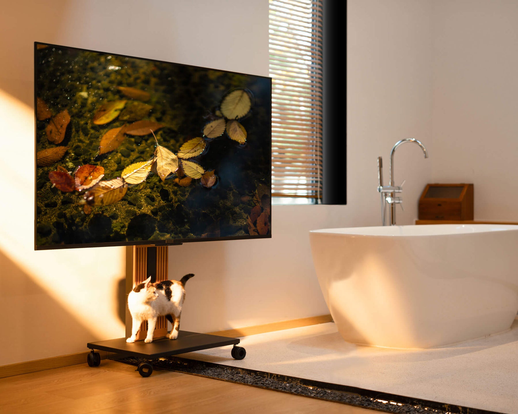 Universal TV Stands for 32-65 inch TV - FITUEYES